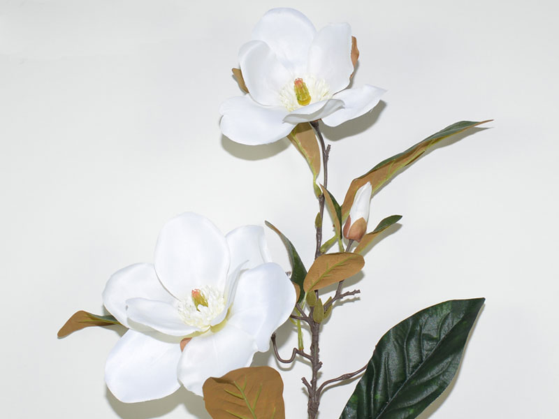 VARA MAGNOLIA SPRAY X3* BLANCO